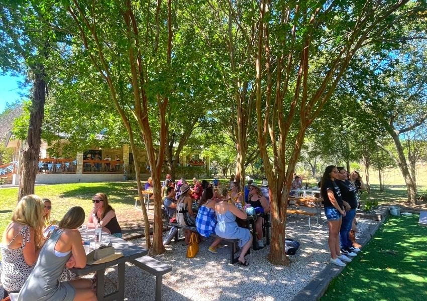10+ Austin Wineries You Need to Experience Today!