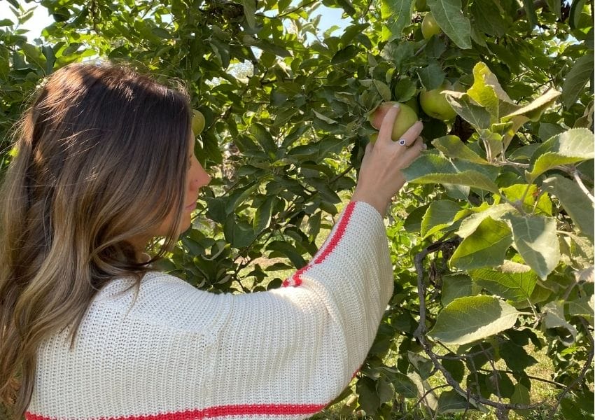 9 of the Best U-Pick Farms in Pittsburgh | UNATION