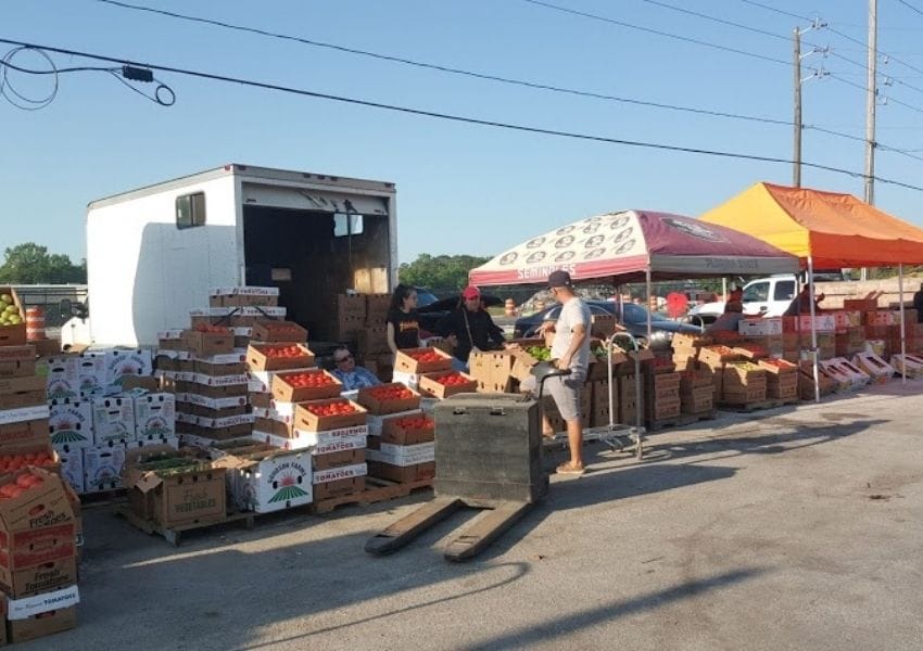 Explore Fun Things to do in Plant City to Spend Perfect Day