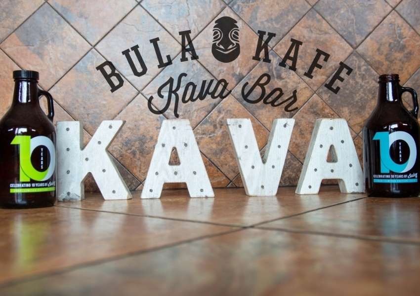 Our Favorite Kava Bars in St. Pete | UNATION