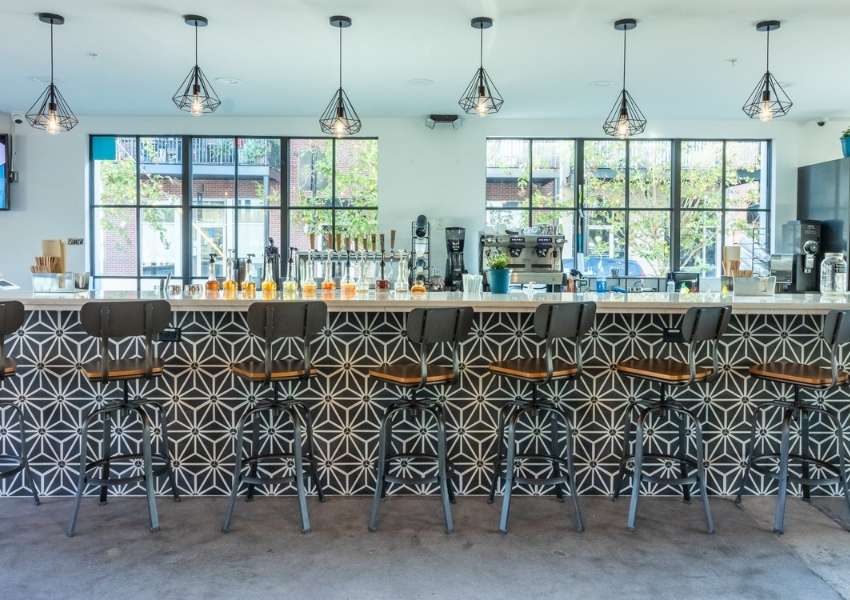 Our Favorite Kava Bars in St. Pete | UNATION