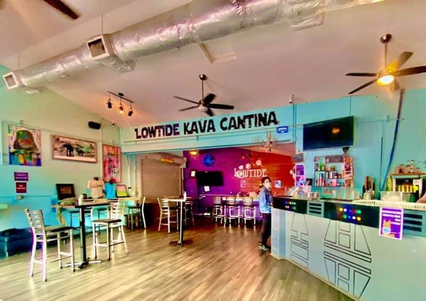 Our Favorite Kava Bars in St. Pete | UNATION