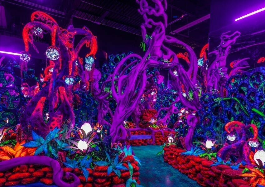 Fun and Interactive Places to Celebrate Your Birthday in Houston – UNATION