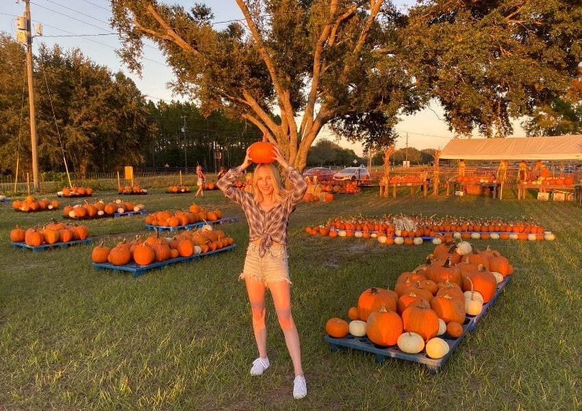 Top 5 Fall Festivals in Jacksonville | UNATION