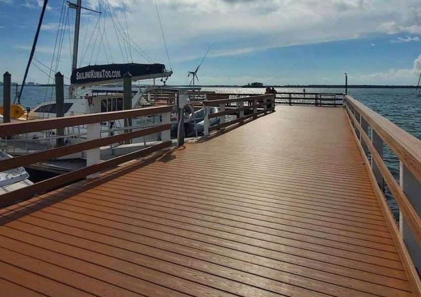 9 Best Places to Watch the Sunset in Dunedin | UNATION