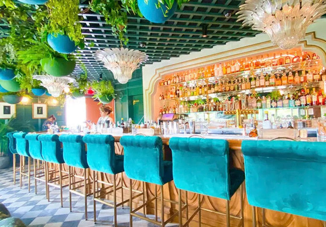 Best Boujee Dining in North Austin