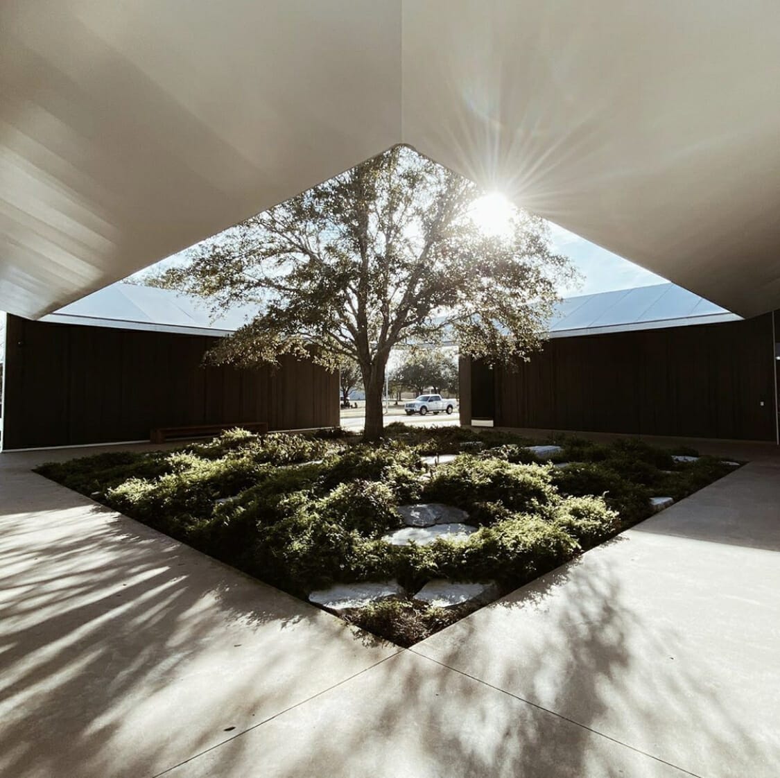 Best Things to Do in Montrose Houston | UNATION