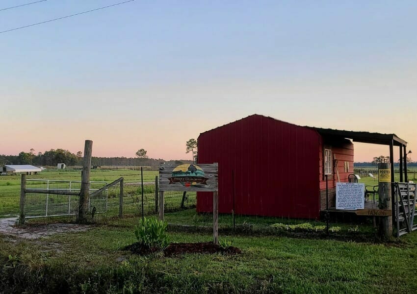 Top 5 Fall Festivals in Jacksonville | UNATION