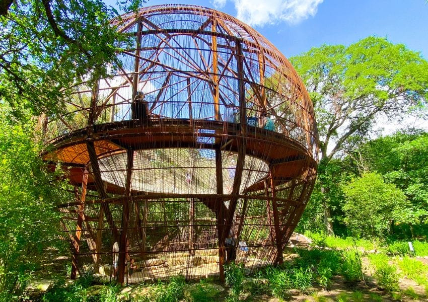 The Ultimate Bucket List for Austin Newbies