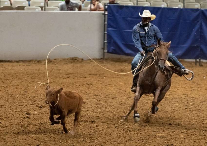 State Fair of Texas – Your Ultimate Guide | UNATION