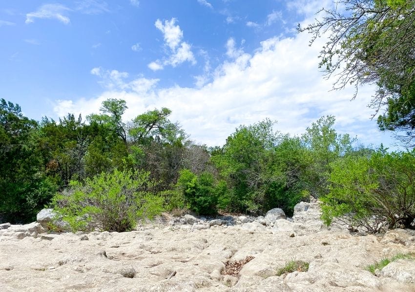 Sob Story: Best Places to Cry in Austin