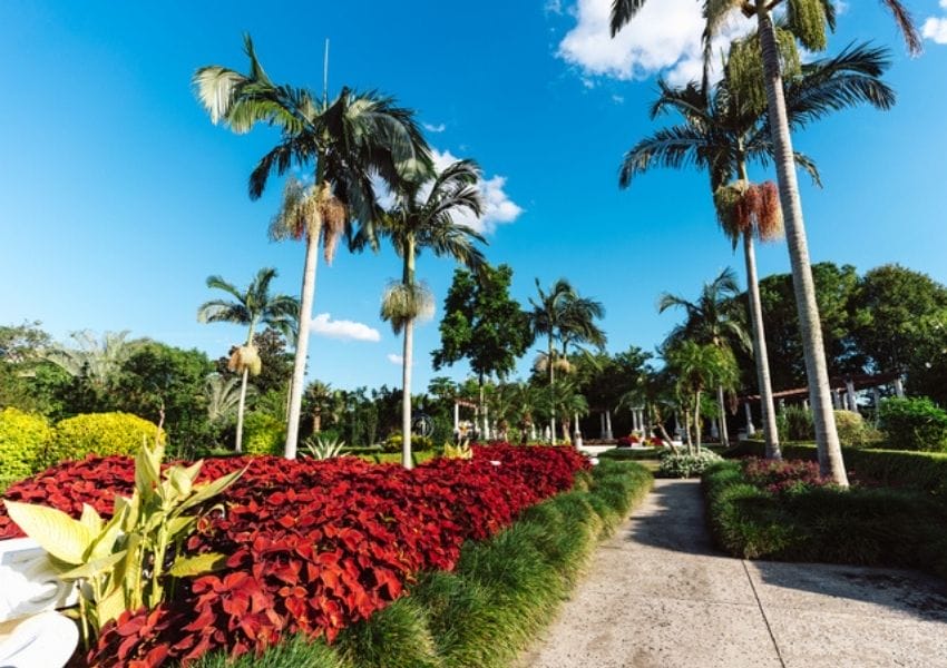 10+ Ultimate Bucket List for Spring in Tampa Bay | UNATION