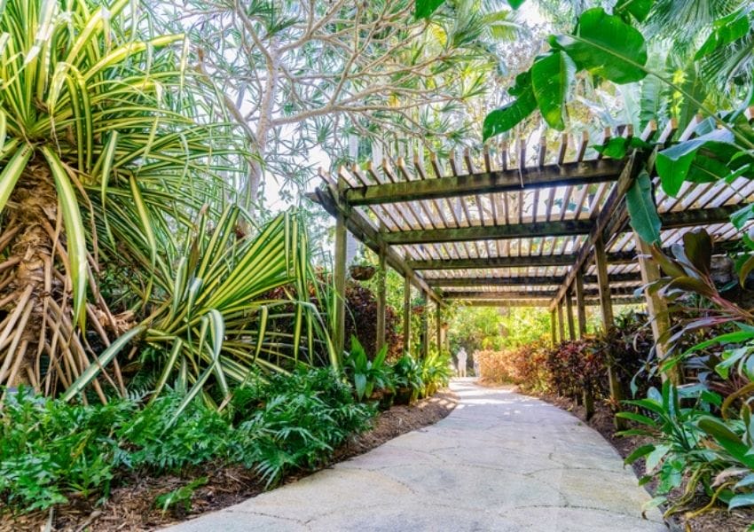 10+ Spring Activities in Tampa Bay | Your Spring Bucket List