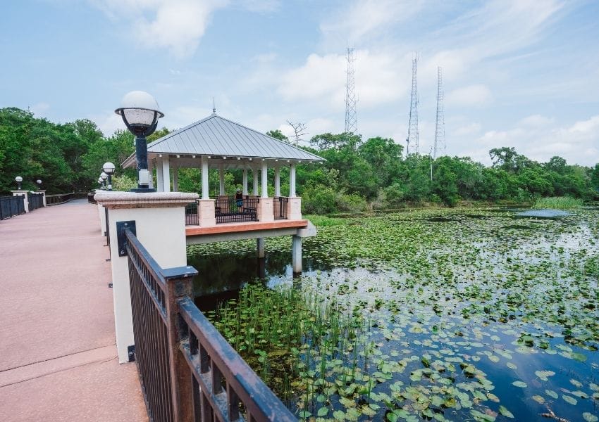 10+ Ultimate Bucket List for Spring in Tampa Bay | UNATION