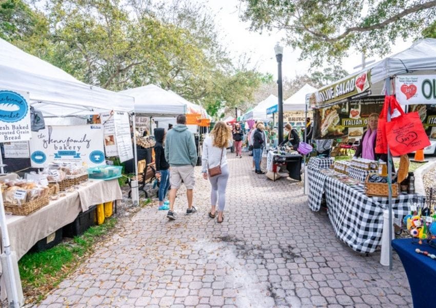 10+ Spring Activities in Tampa Bay | Your Spring Bucket List