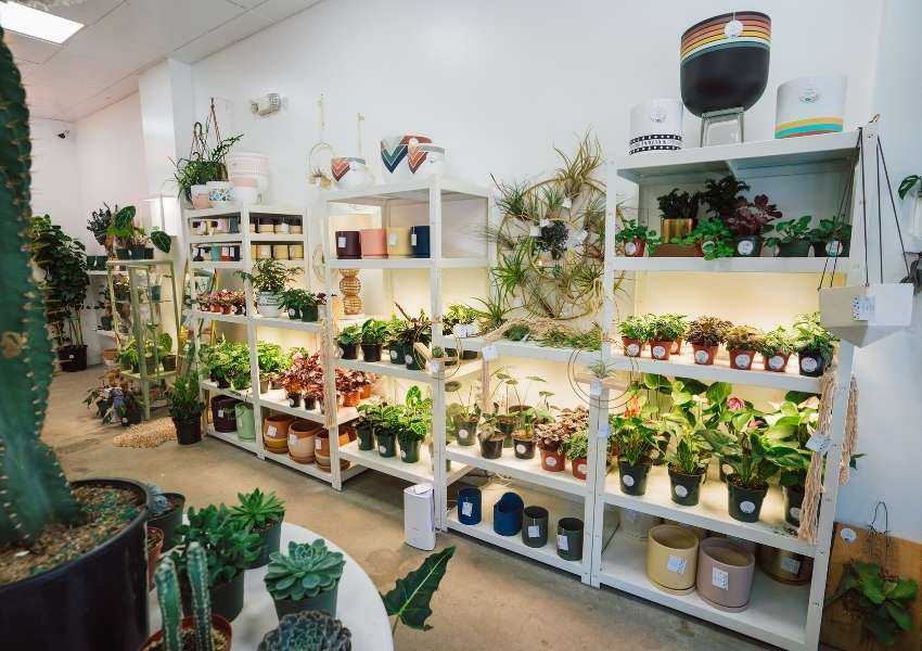 10+ Ultimate Bucket List for Spring in Tampa Bay | UNATION