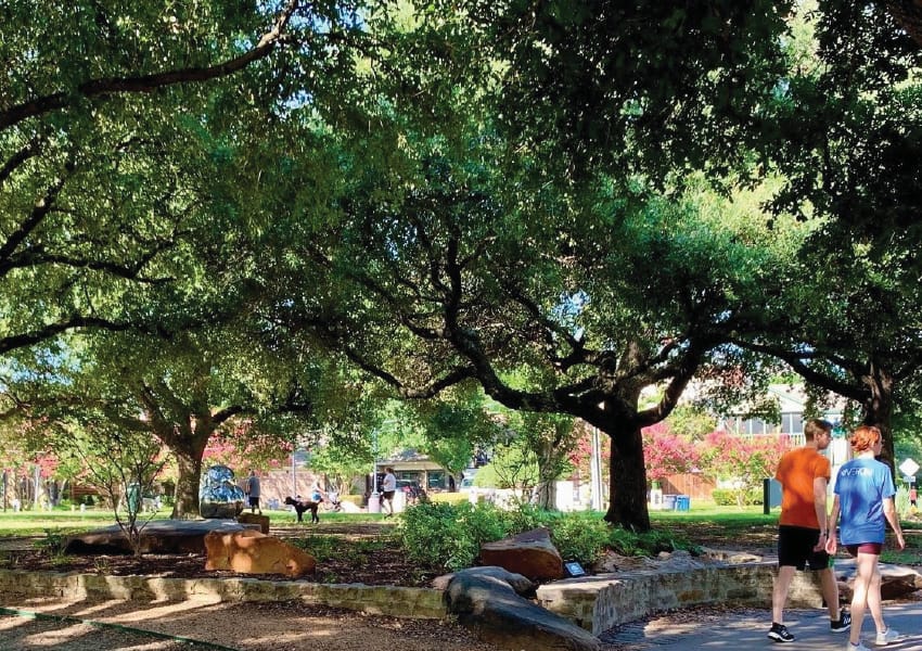 6+ Best Parks in Dallas for Spending Time Outside | UNATION