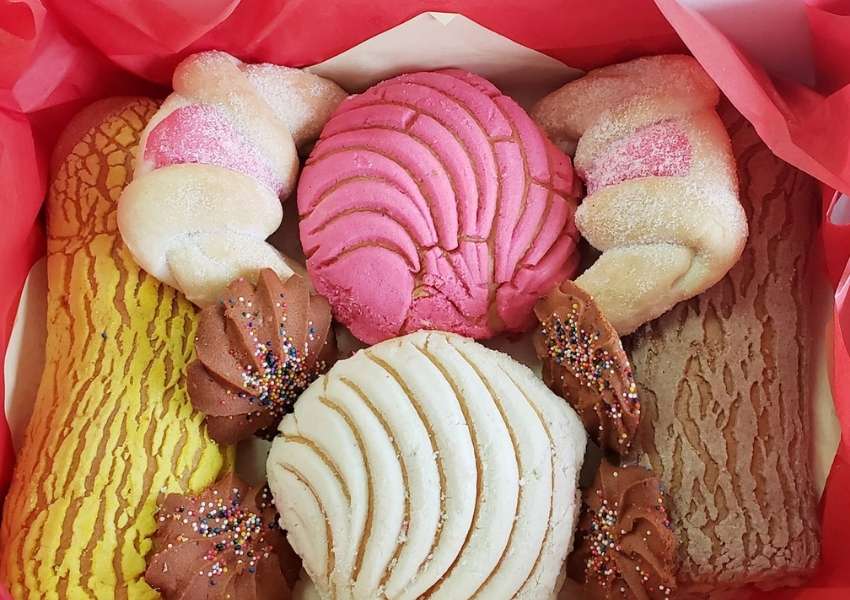 Your Guide to the Best Dallas Bakeries – UNATION