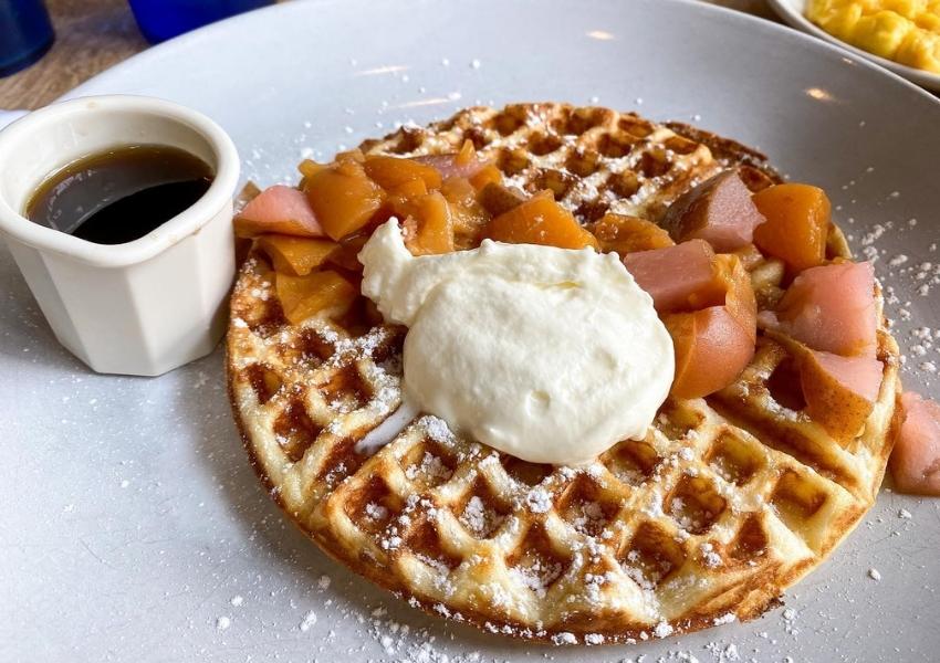 6 Best Places to Get Waffles in Philly | UNATION