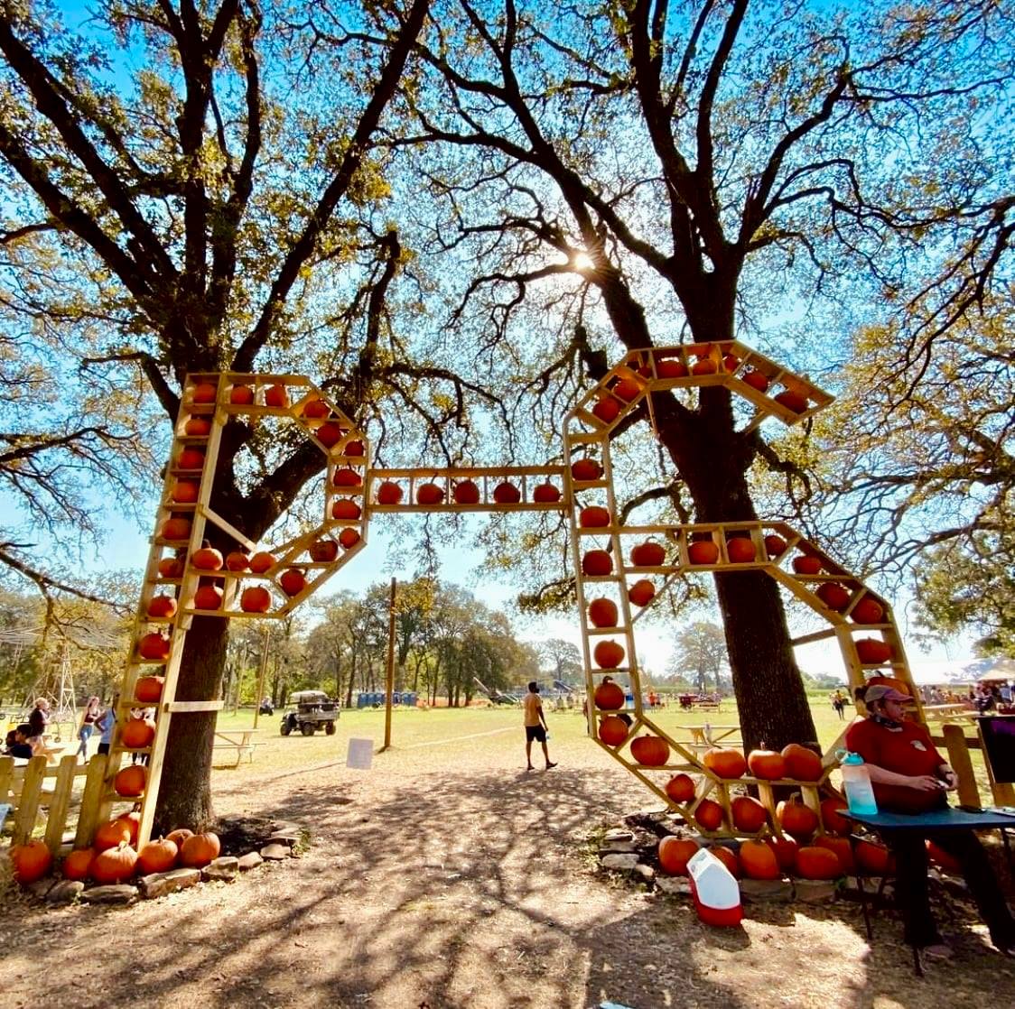 Fall in Love With The Best Things to Do in Houston This Fall – UNATION