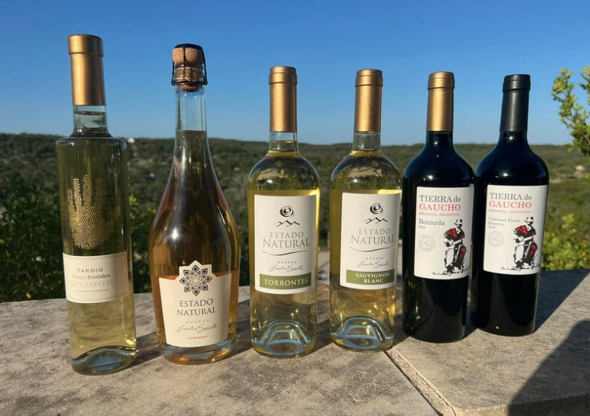 10+ Austin Wineries You Need to Experience Today!