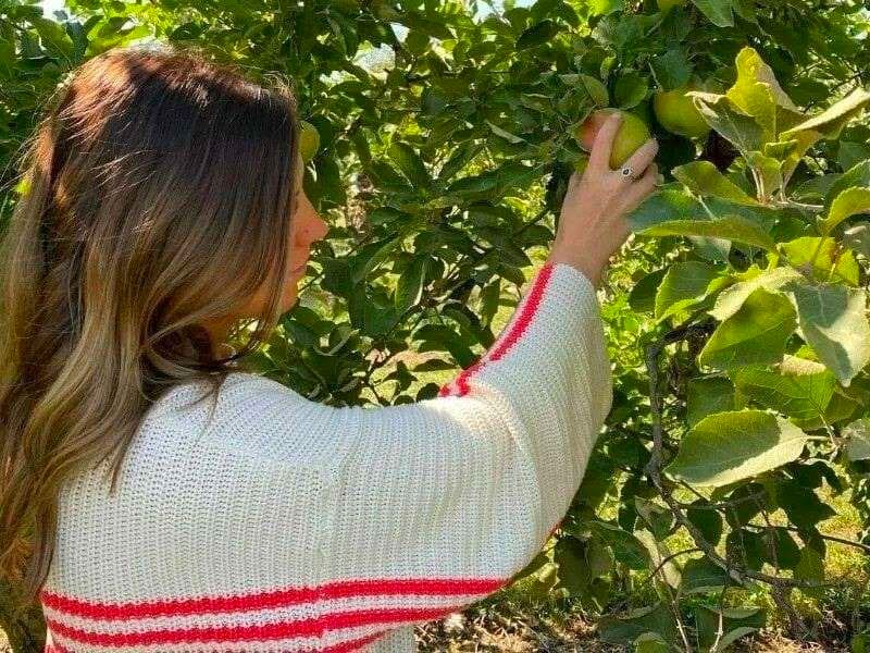 Celebrate the Season with these Fall Festivals in Pittsburgh