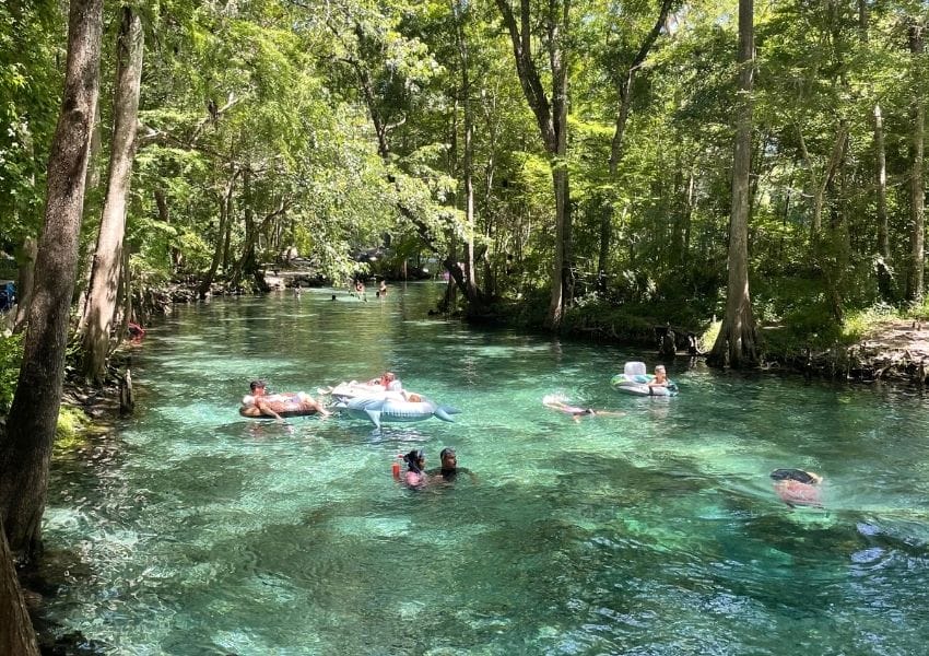 The ULTIMATE Spring Bucket List:10+ Best Ideas | UNATION