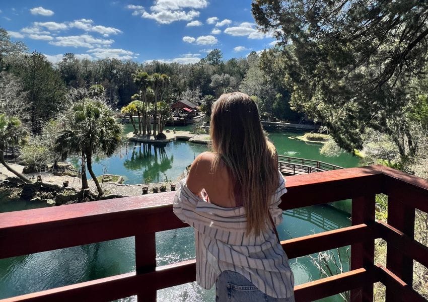 15+ Best Things to Do in Orlando This Weekend