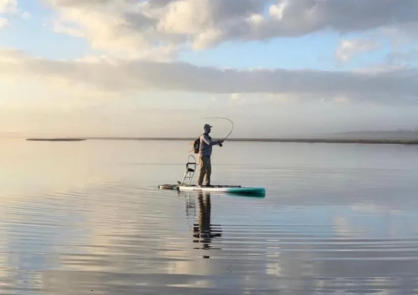 Best Places to Paddleboard in Jacksonville – UNATION