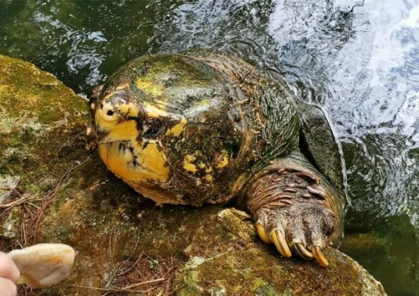 10+ Best Things to do with Kids in Jacksonville FL | UNATION