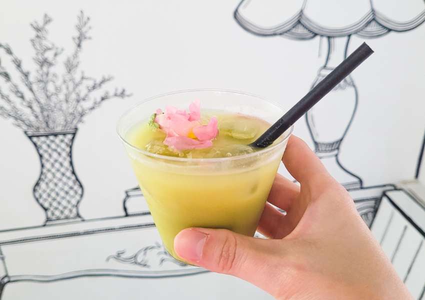 5+ New Things to Do in Dallas Fort Worth | UNATION