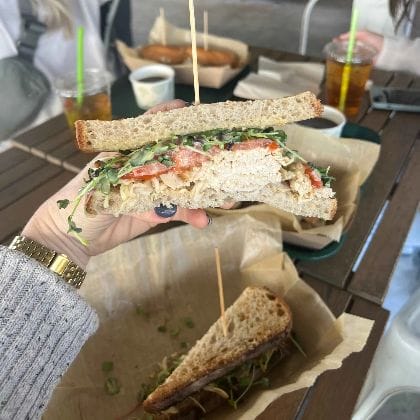 Things to Do in Tampa Bay this Weekend | UNATION