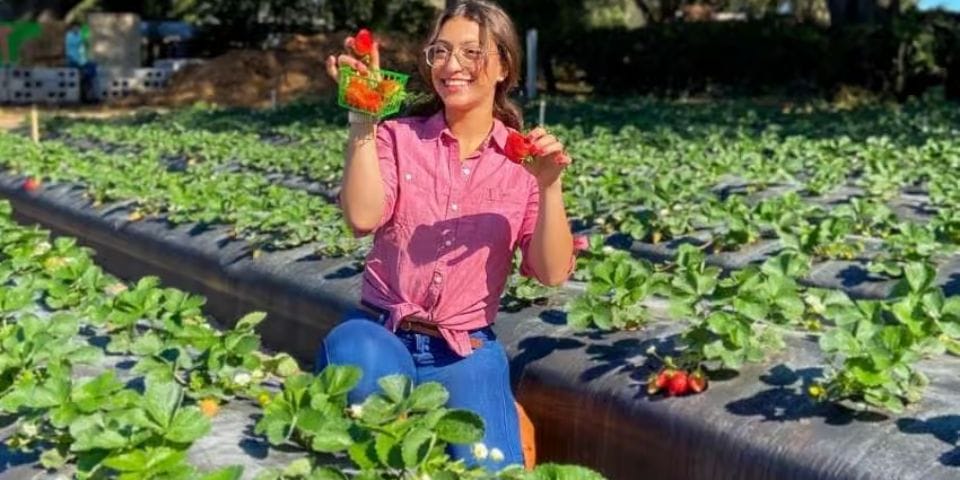 U-Pick Farms Near Tampa Bay You Need to Visit This Spring