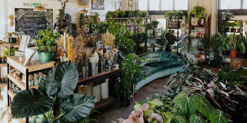 12+ Cute Plant & Flower Shops in Tampa Florida | UNATION
