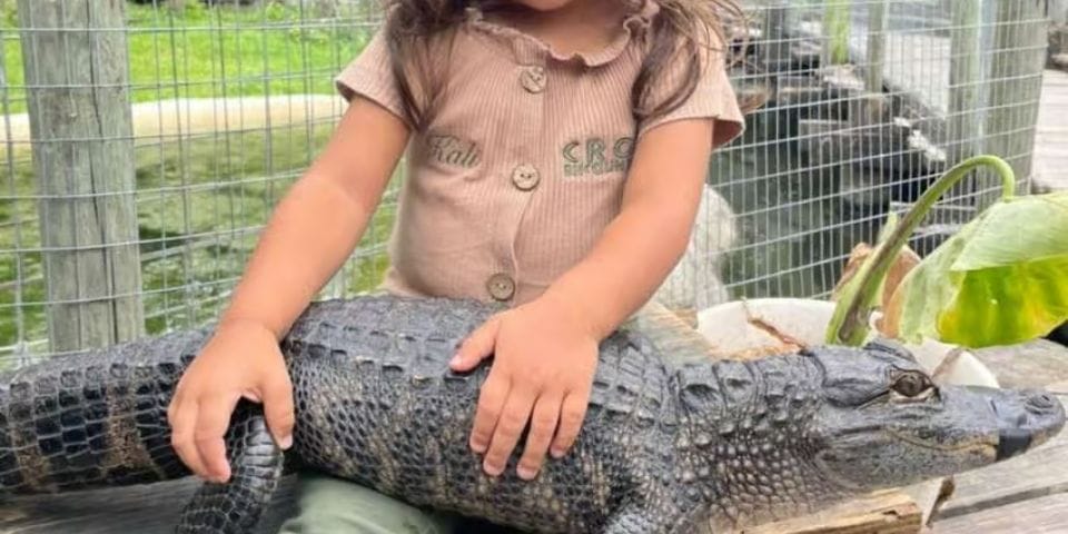 The Best Tampa Bay Wildlife Attractions, Parks and Zoos