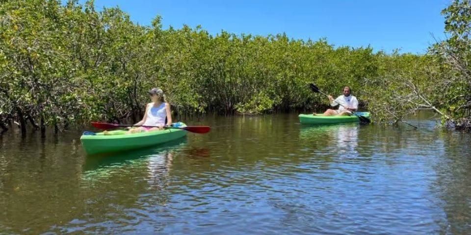 Best Water Activities in Tampa Bay to Try – UNATION